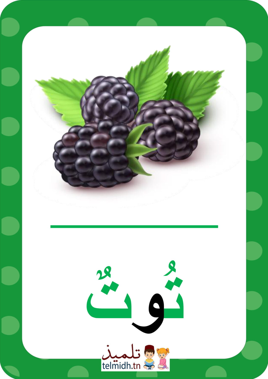 حرف التاء - سنة أولى : TELMIDH.TN