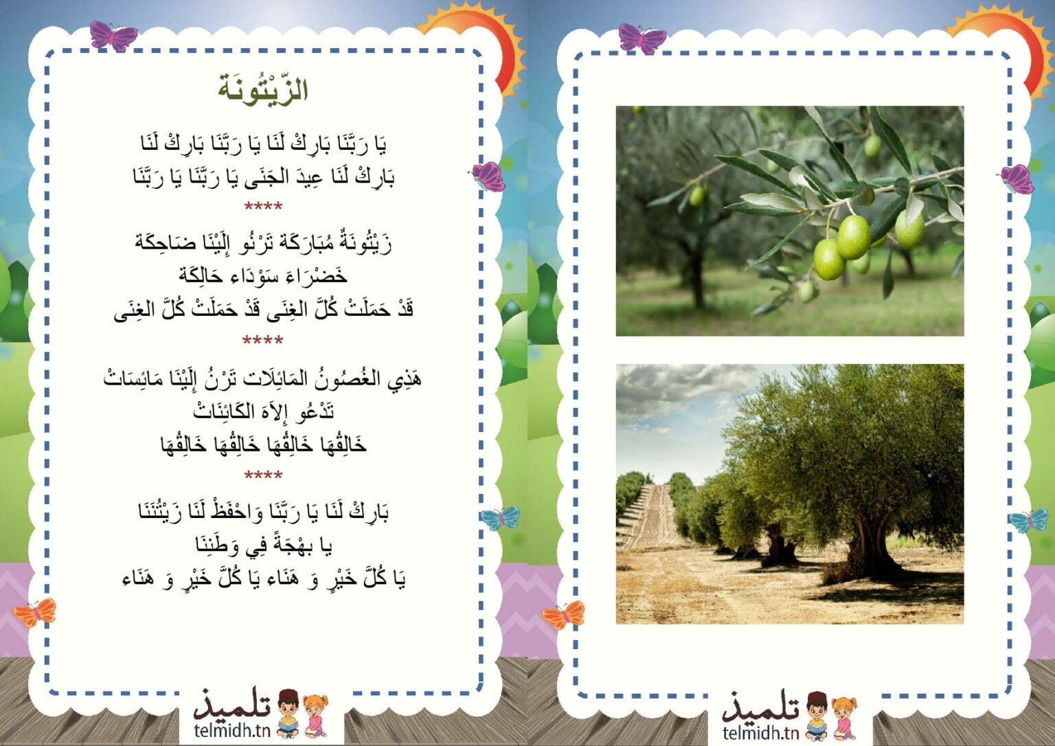 انشودة الزيتونة - Telmidh