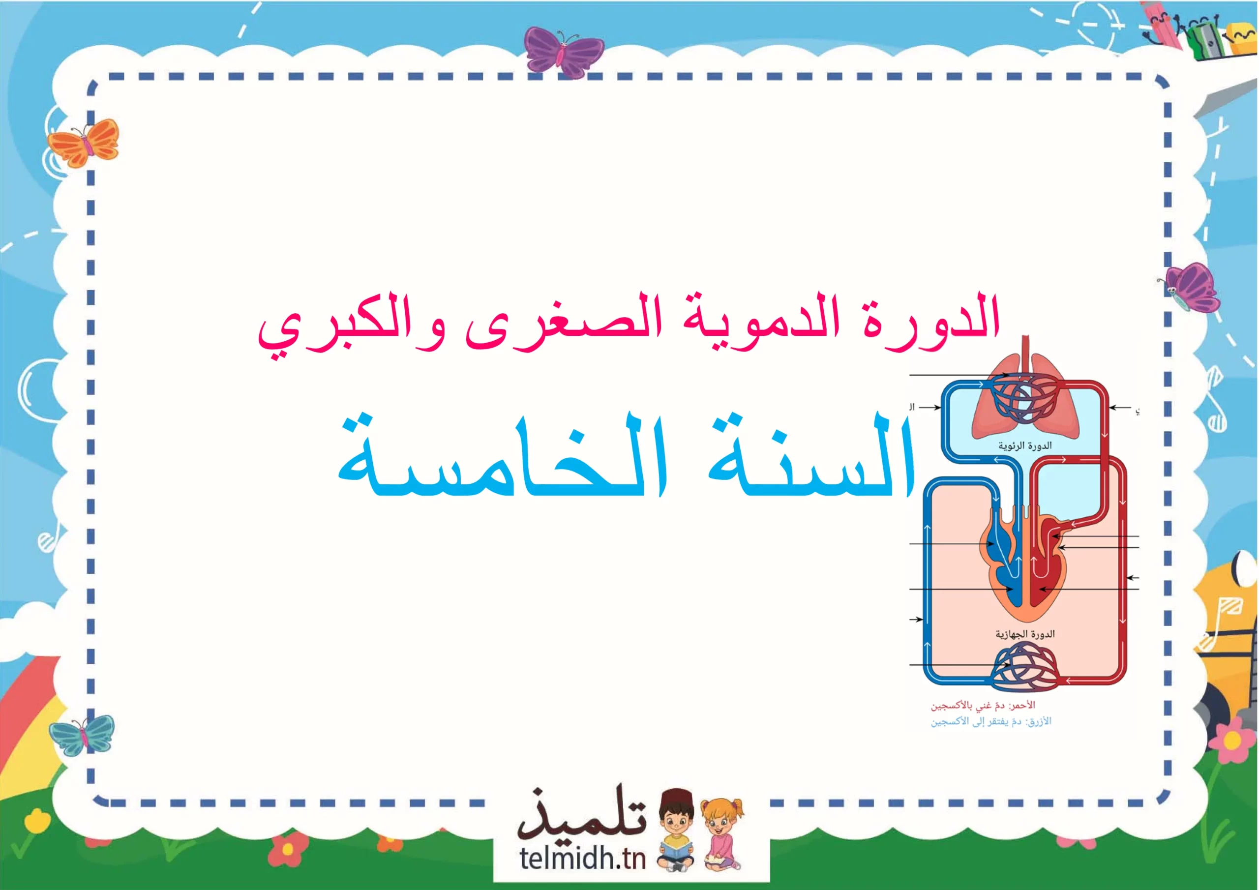 الدورة الدموية الصغرى والكبرى - Telmidh