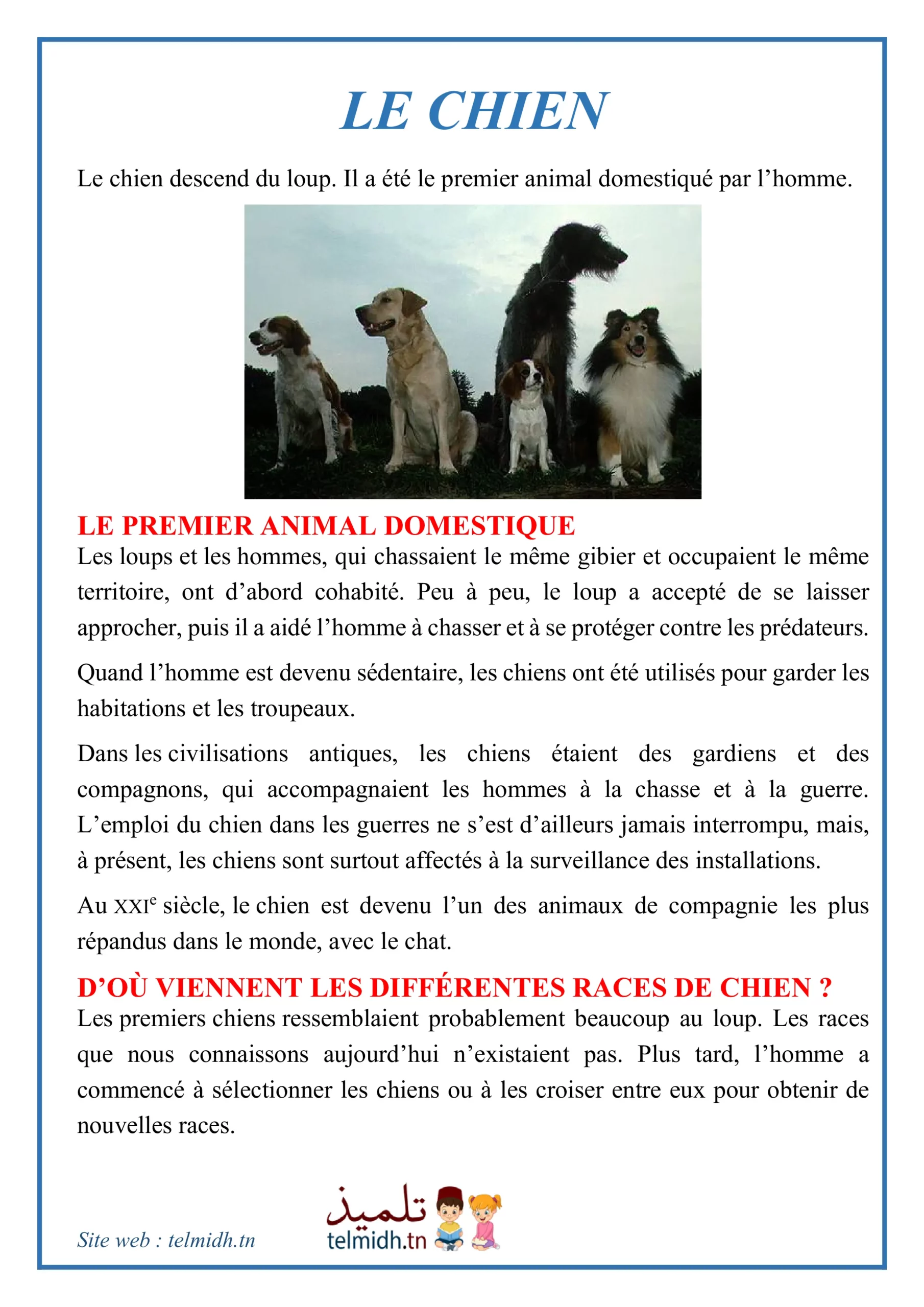 le chien - تلميذ