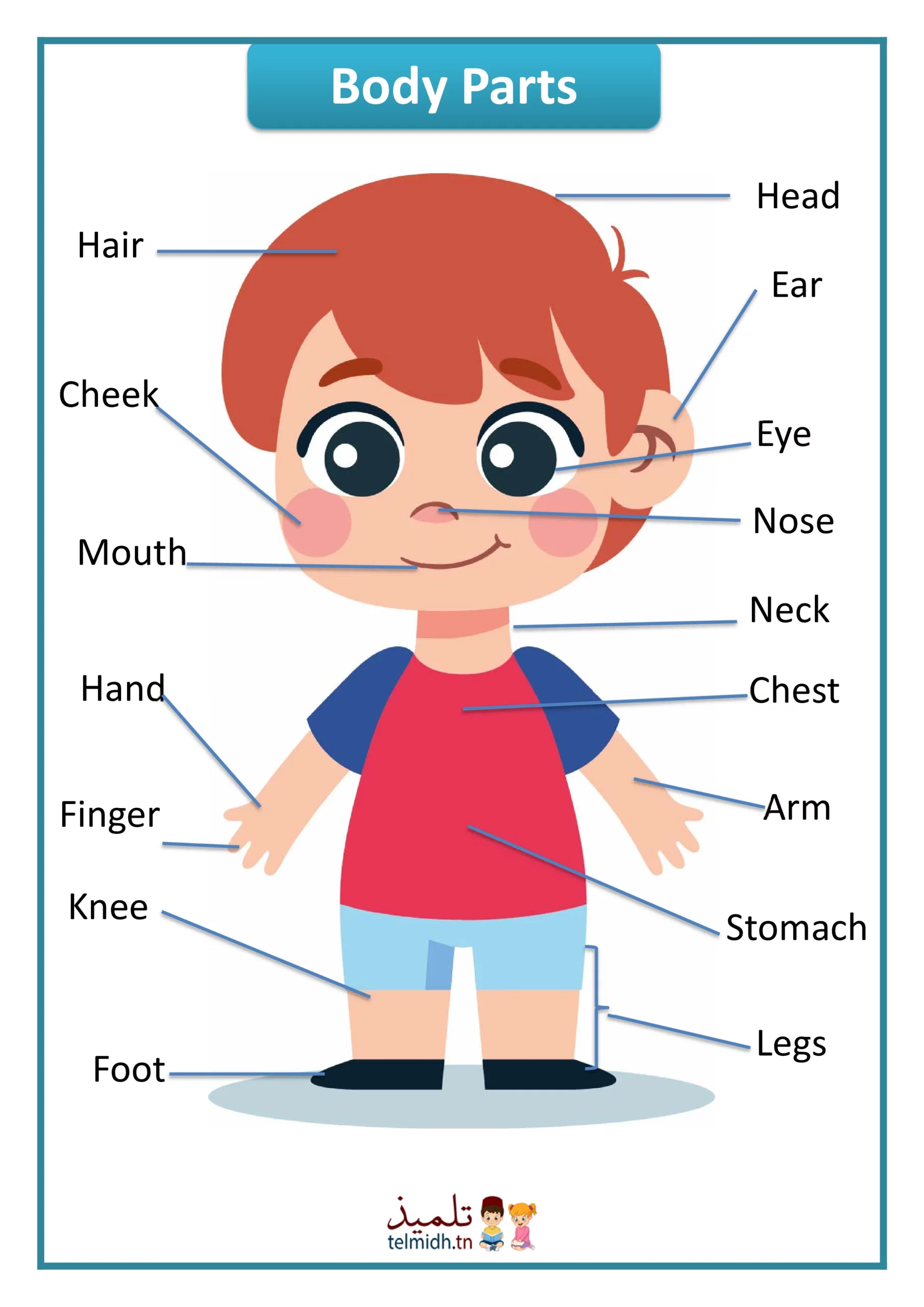 My body - Parts body - Telmidh
