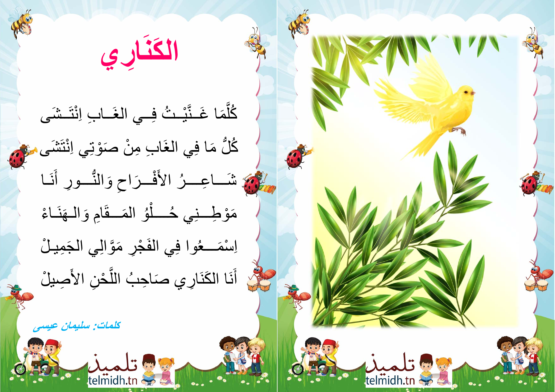 الكناري - سليمان عيسى - Telmidh