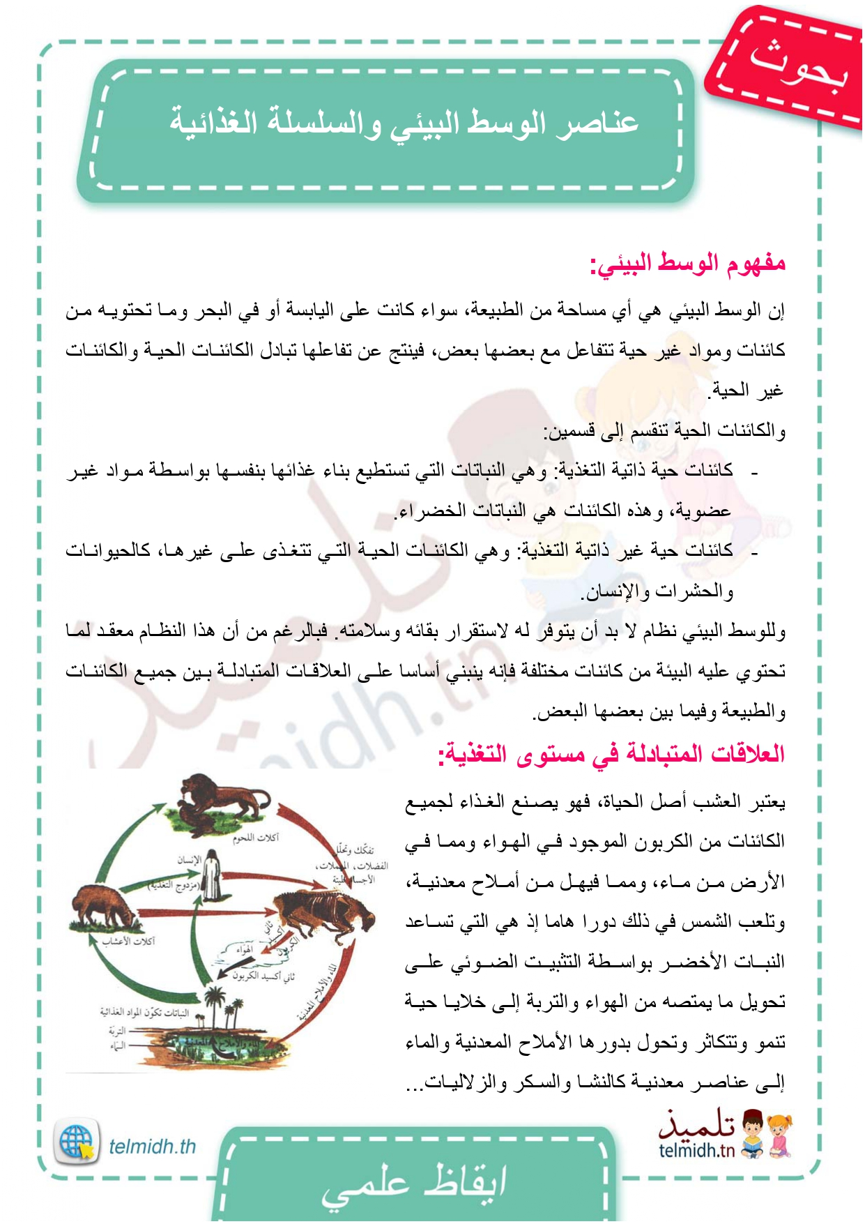 عناصر الوسط البيئي والسلسلة الغذائية - Telmidh