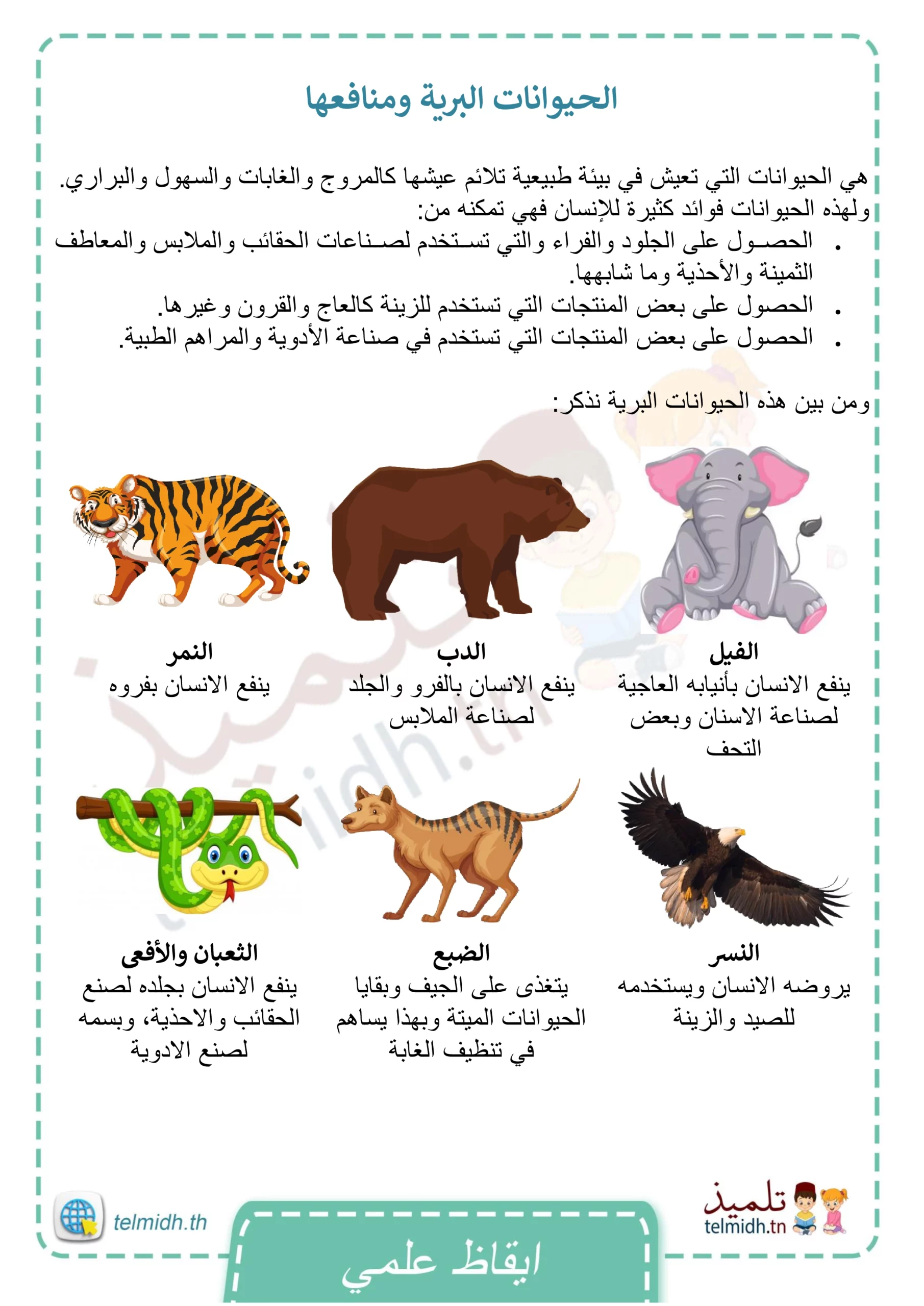 الحيوانات البرية ومنافعها - Telmidh