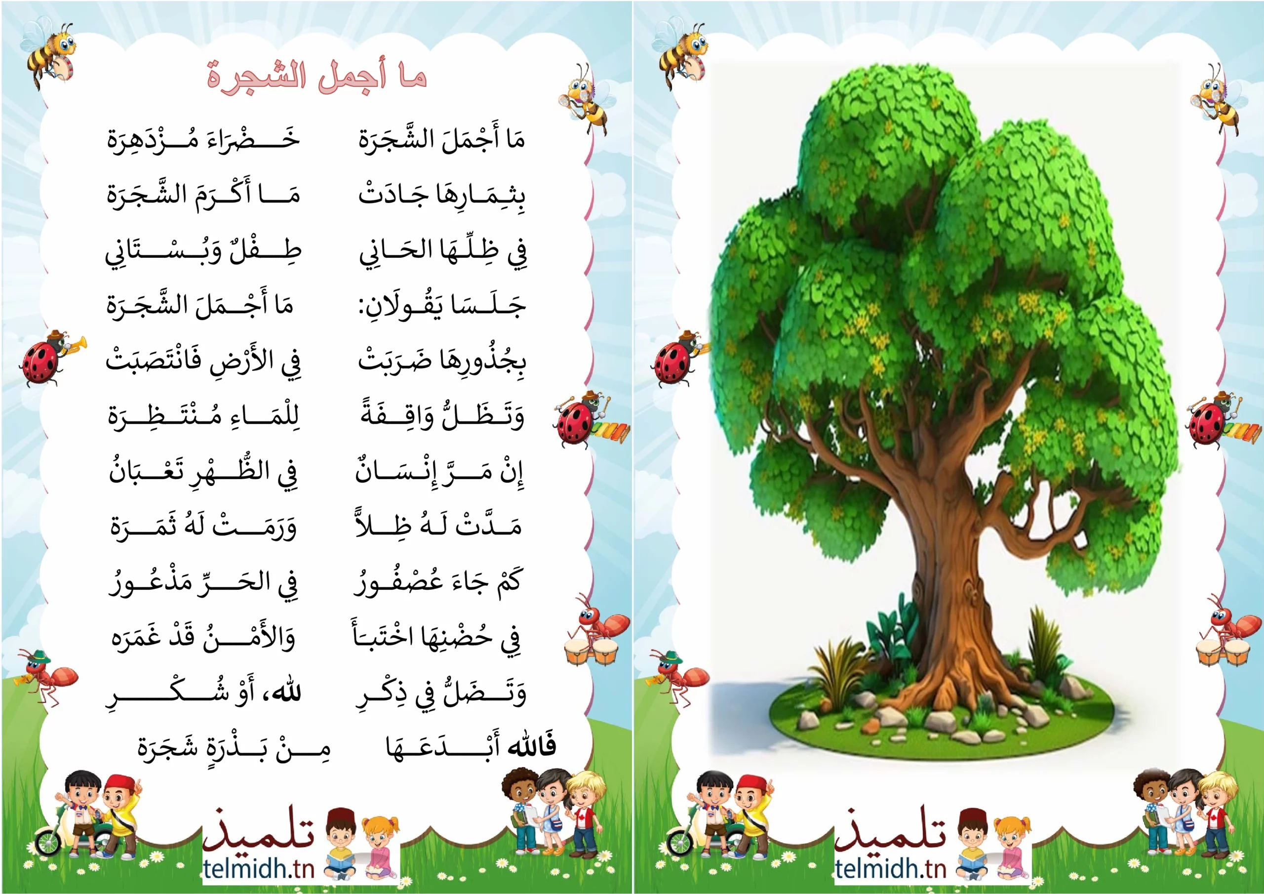 ما أجمل الشجرة - Telmidh